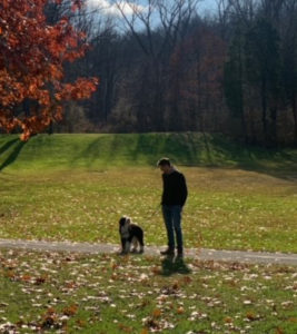 Jordan D. Lebovitz | Nurenberg Paris | Injury Attorney, Cleveland Ohio